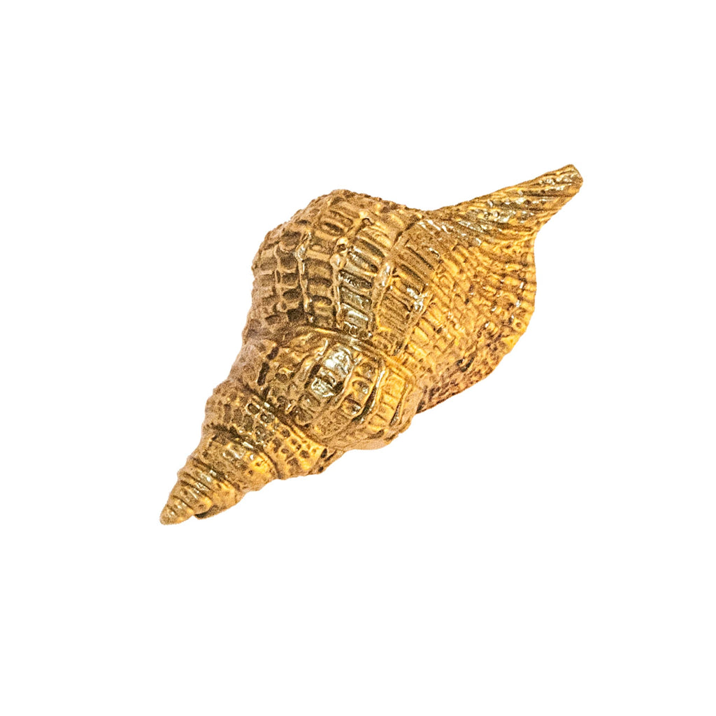 Oceano Vasum - seashell brass knob – ilbronzetto