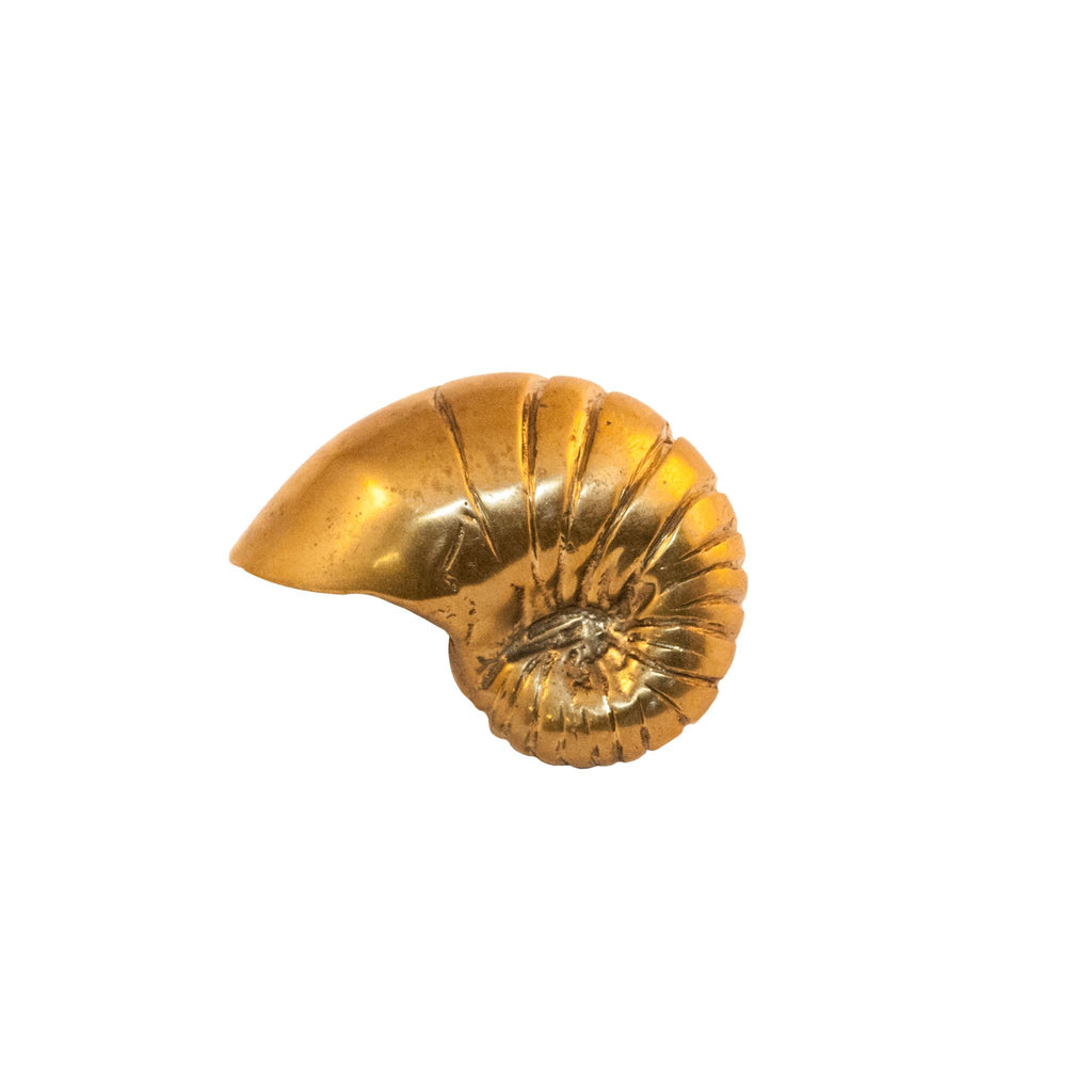 Oceano Nautilus - seashell brass knob – Bronzetto